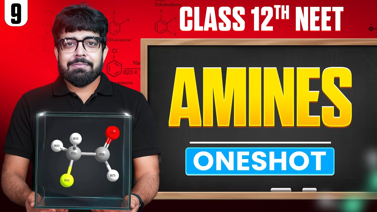 AMINES in ONE SHOT | All Concept & PYQ | Basic to Advanced | Class 12 ...