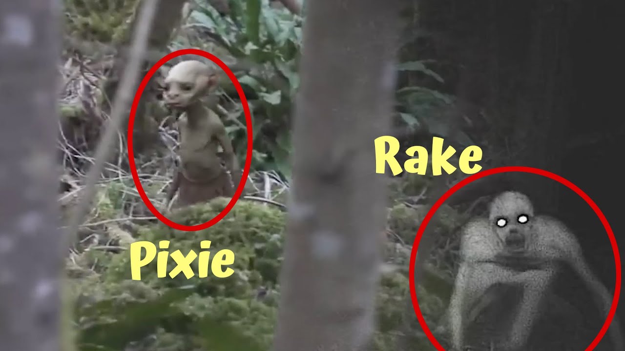 Unknown Creatures Caught On Camera - YouTube