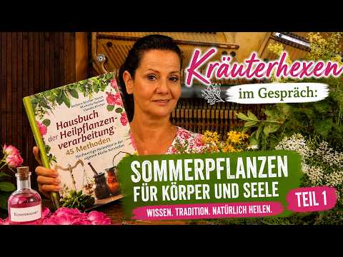 Von Lavendel bis Johanniskraut: Die Kraft der Sommerpflanzen