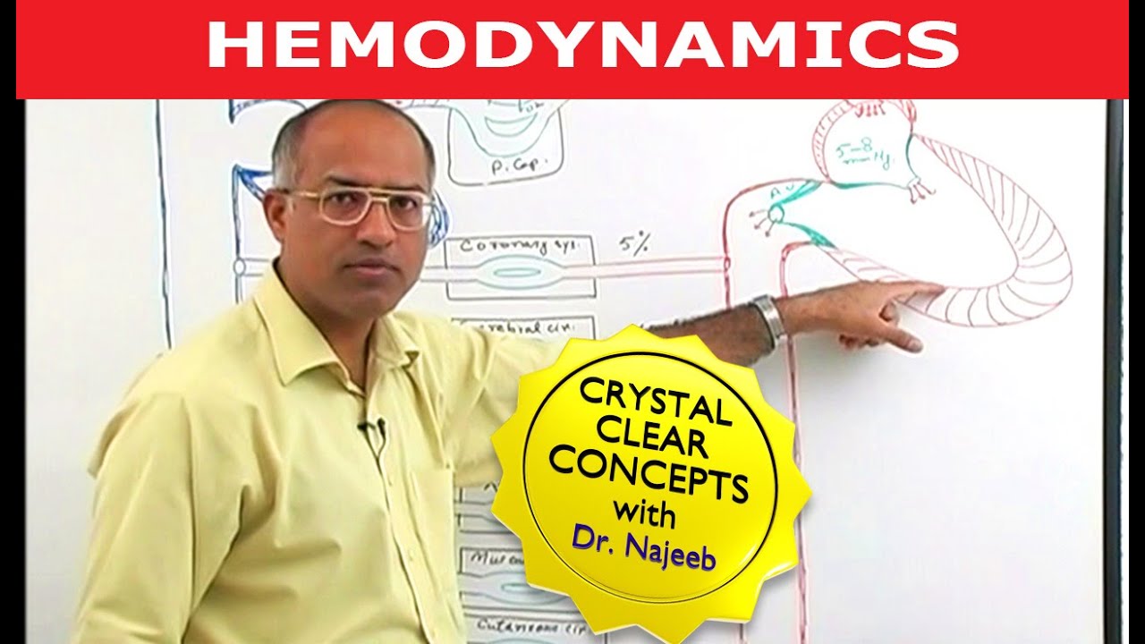 Hemodynamics | Circulatory System Physiology - YouTube