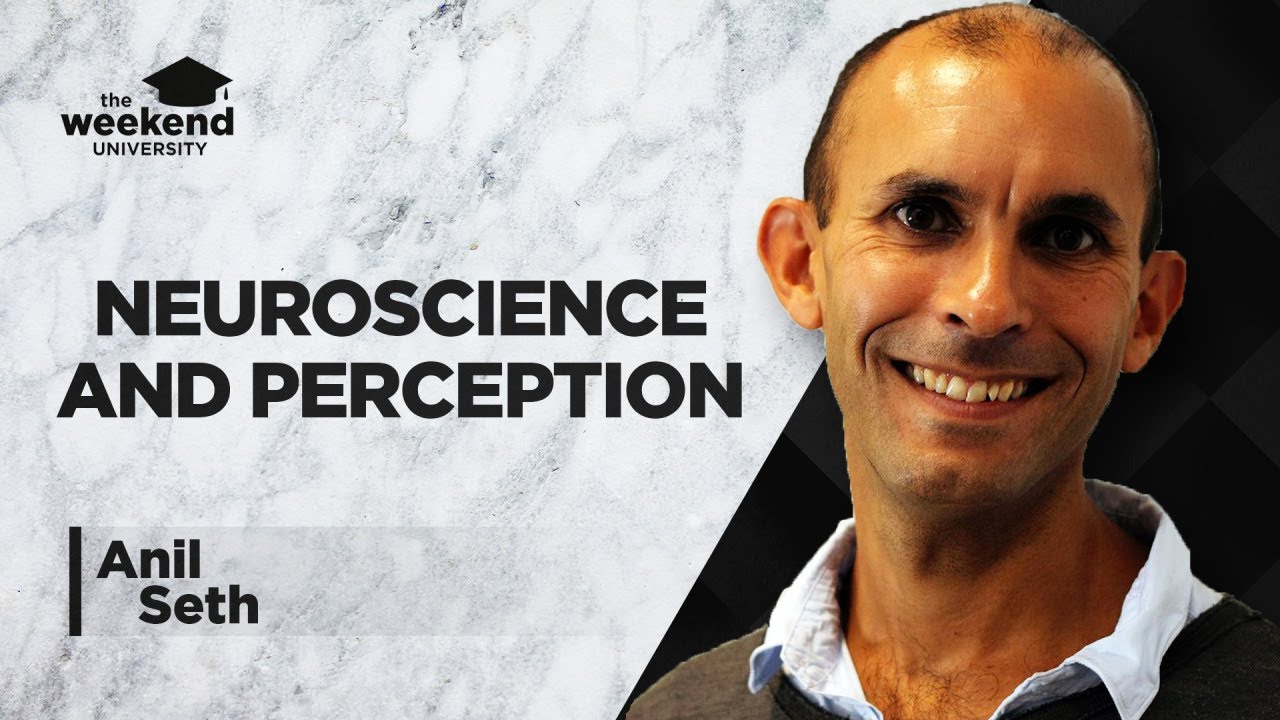 Consciousness: Neuroscience, Perception and Hallucination – Professor ...