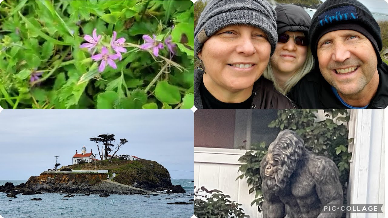Squatching through the Pacific Northwest - YouTube