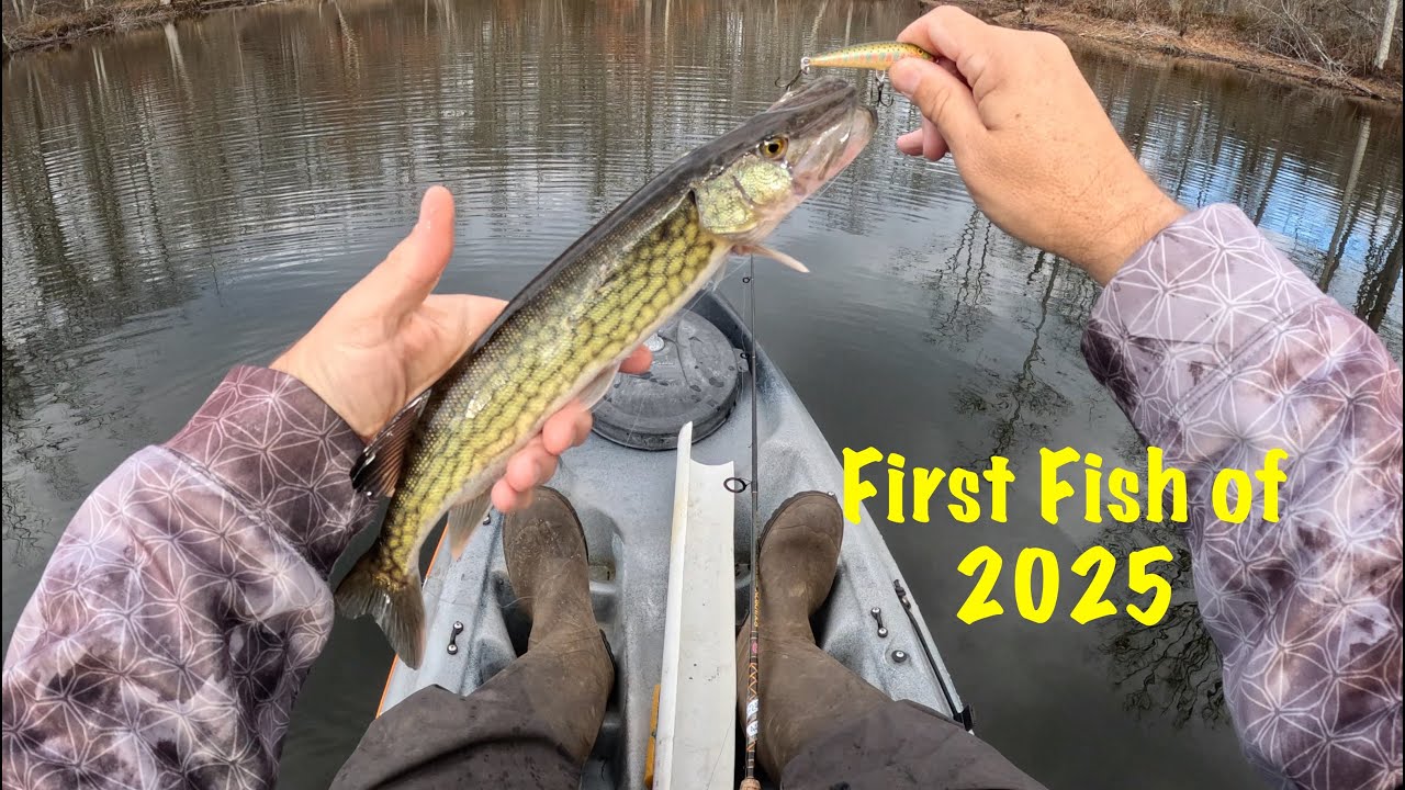 First Fish of 2025! - YouTube