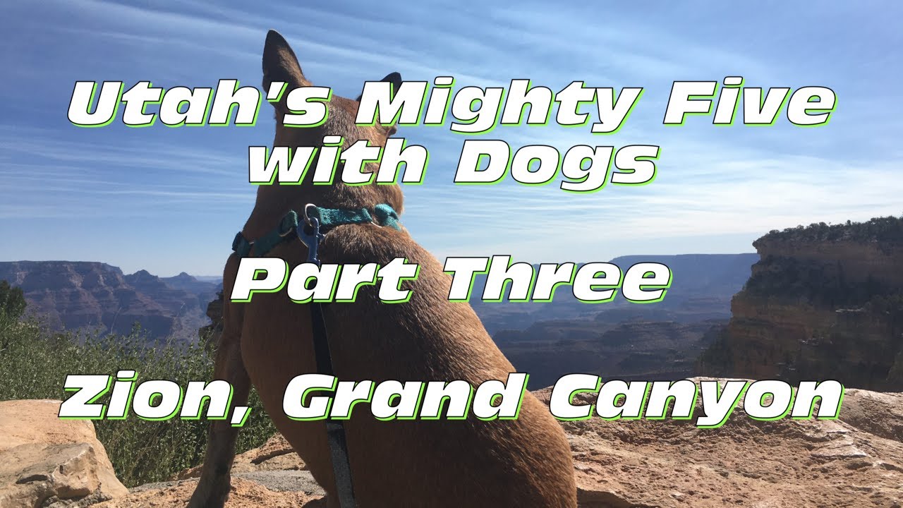 Utah's Mighty Five with Dogs - Part 3: Zion National Park and Grand ...