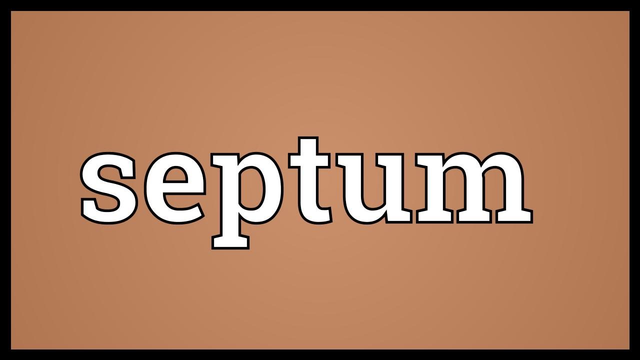 Septum Meaning - YouTube