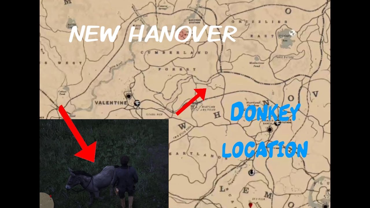 Red Dead Redemption 2 Donkey Location New Hanover - YouTube