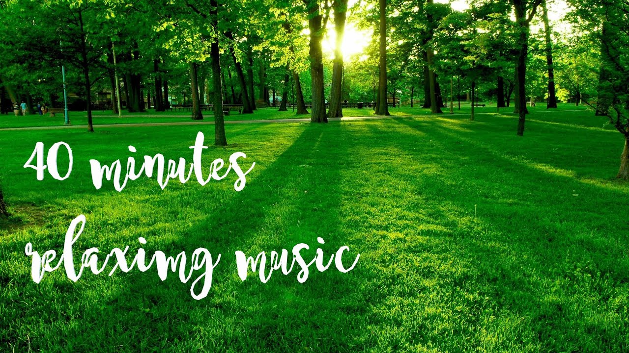 40 minutes relax music for sleep - YouTube