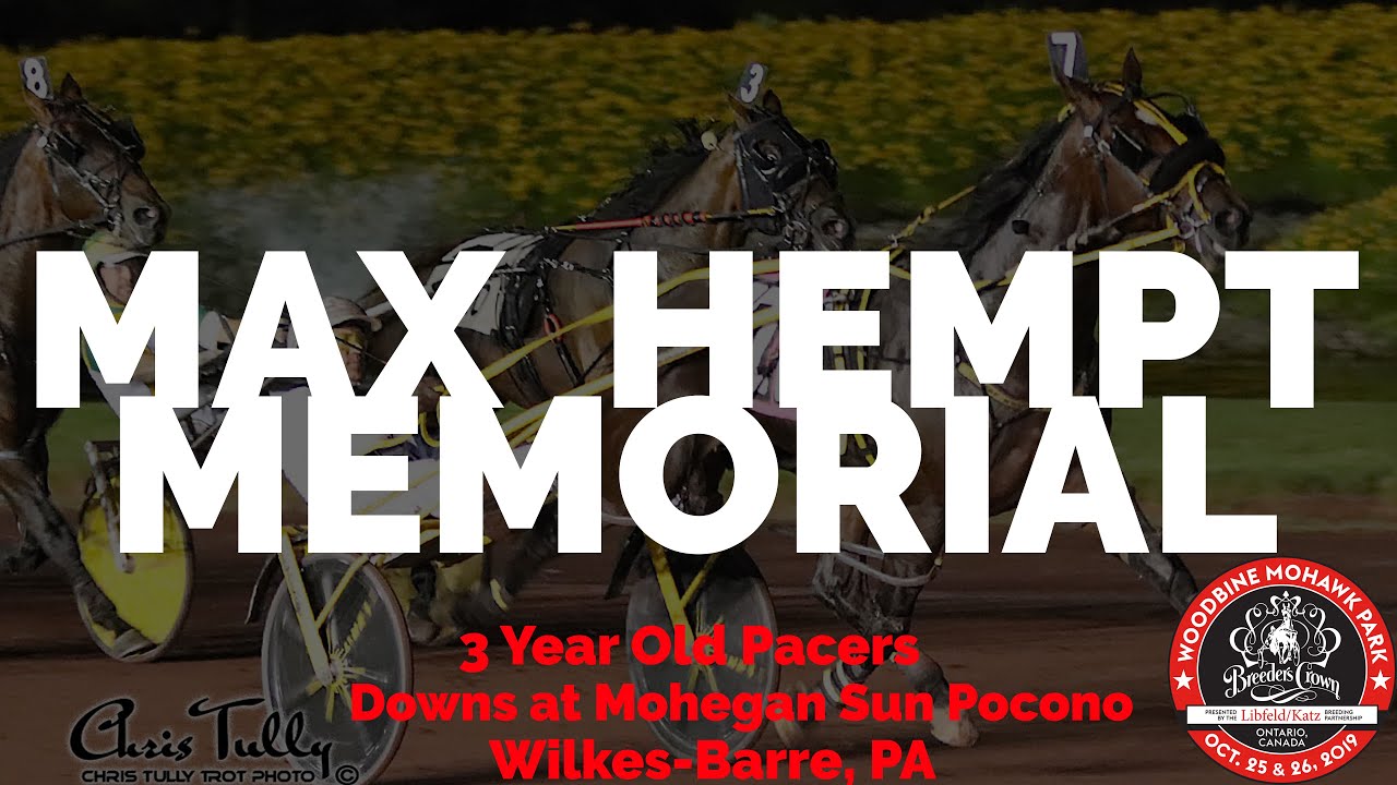 2019 Max Hempt Final - Shake That House - 3YO Colt Pace - YouTube