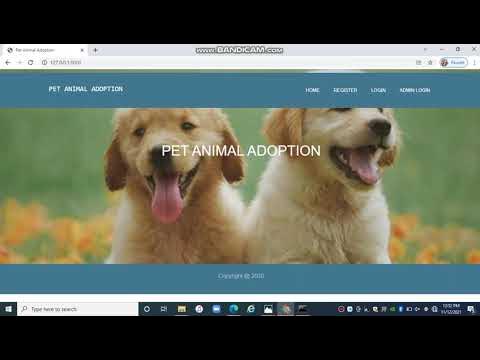Pet Adoption System - YouTube