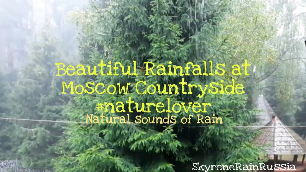 #NatureLover|Beautiful Rainfalls at Moscow Countryside|Nature sounds ...