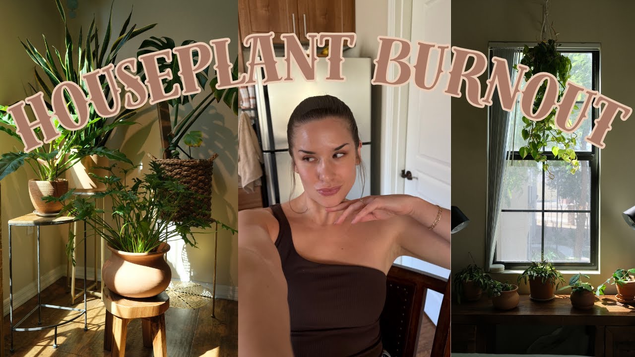 Did I Fall Out of Love with my Plants? Let's talk...🥹 - YouTube