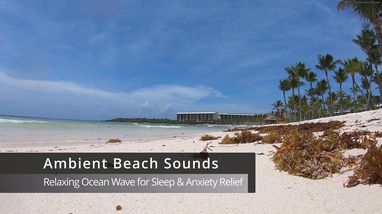 Ambient Beach Sounds | Relaxing Ocean Wave for Sleep & Anxiety Relief ...