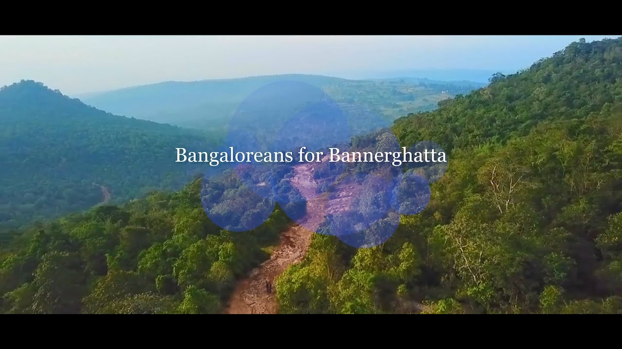 Elephant Barriers : Bannerghatta National Park - YouTube