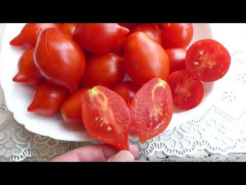 Сержант пеппер бронза - матрешка, Рио Гранде, Черри Пьянелло дель ...