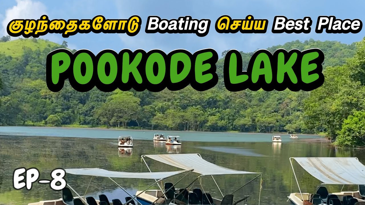 Pookode Lake Wayanad | Wayanad Tourist Places | Kerala Tourist Places ...