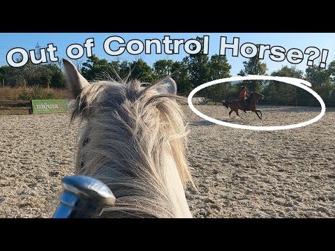 GoPro Jump on My Pony! (Gymnastics Line) - YouTube