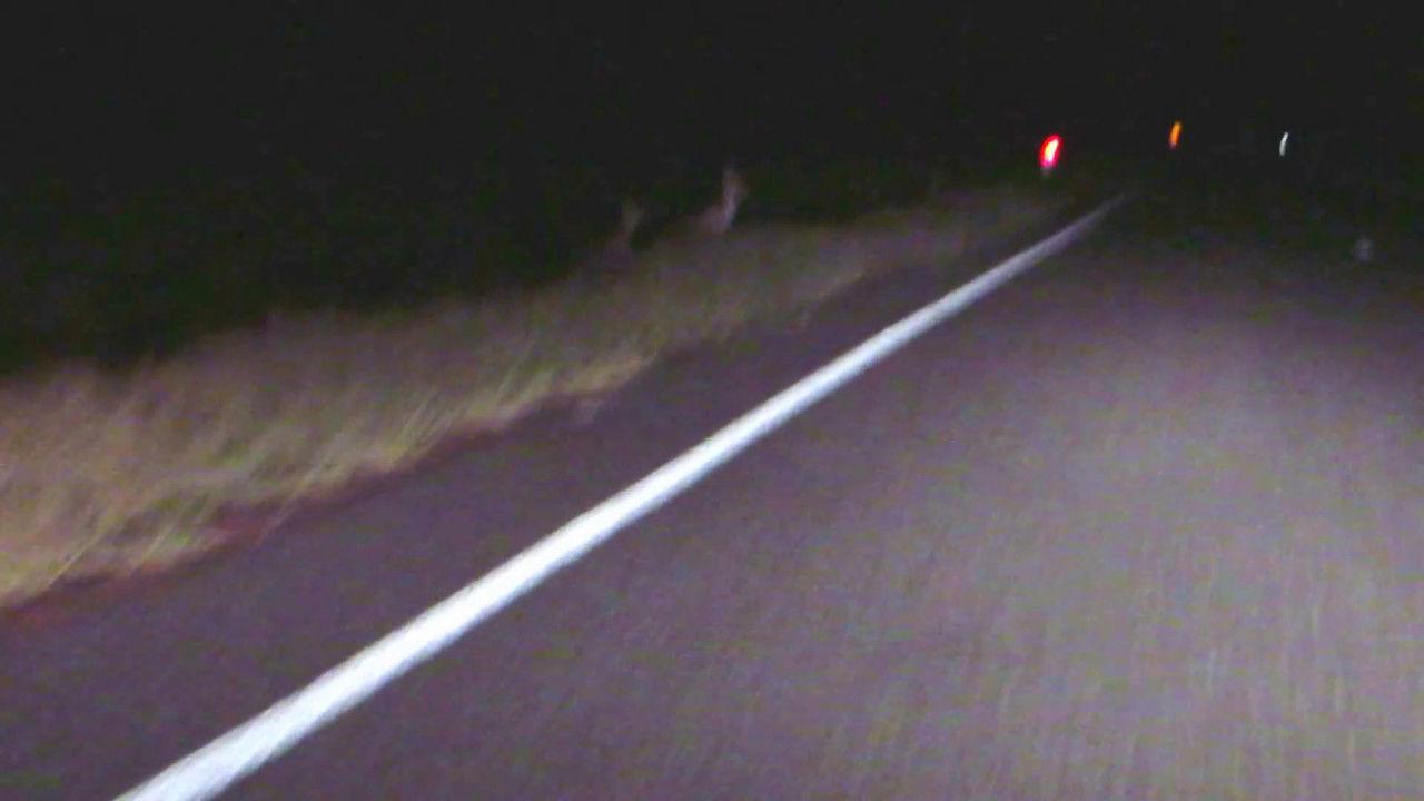 Driving at night in Outback Australia (St. George, QLD) - YouTube