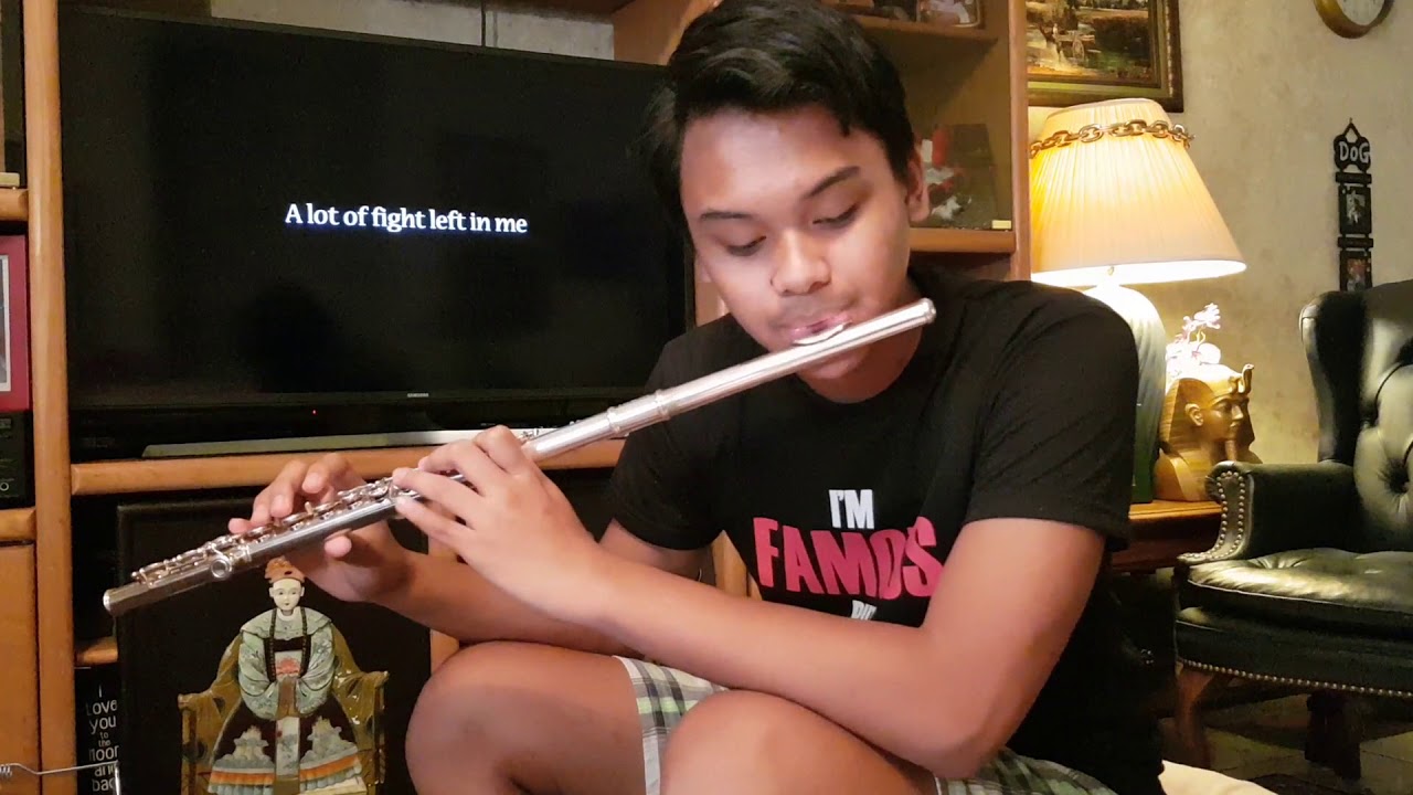 FIGHT SONG (flute cover) by Rachel Platten - YouTube