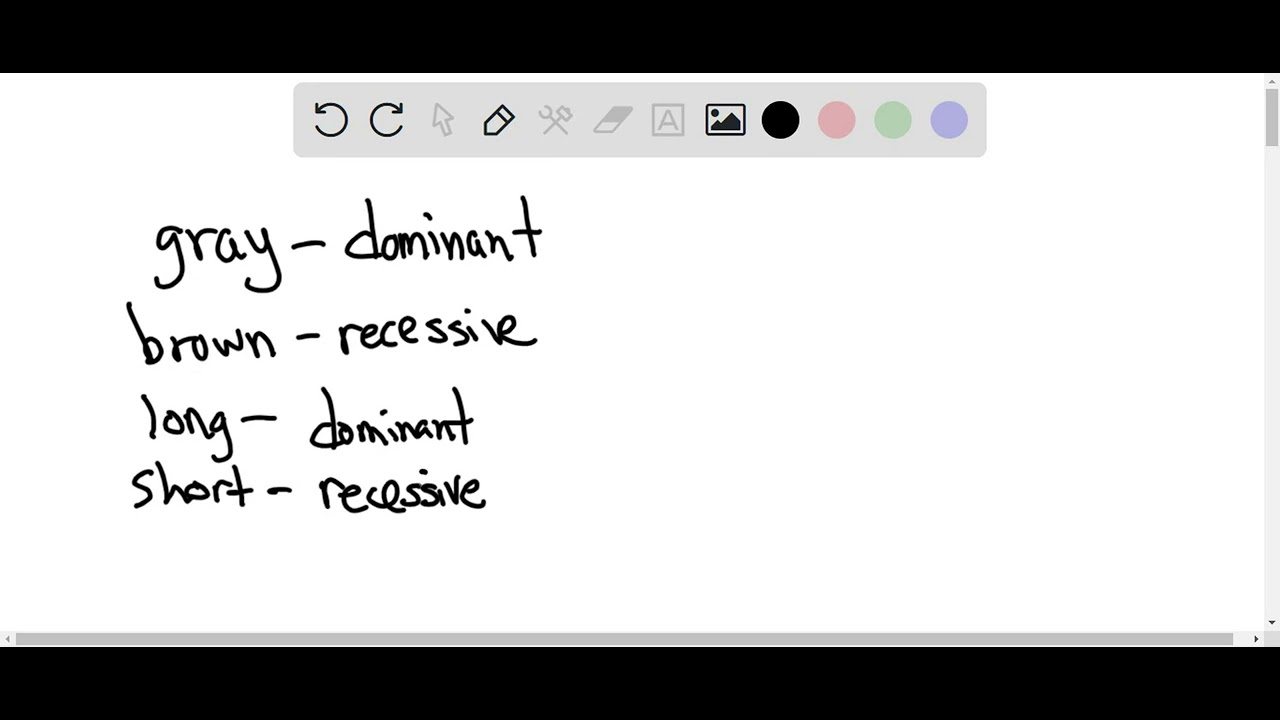 One species of flatworm, Macrostomum hystrix, is able to mate with ...