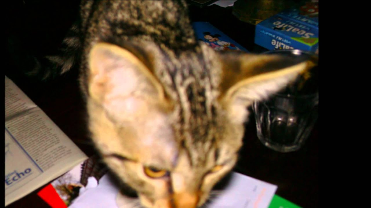 Suko the movie! - YouTube
