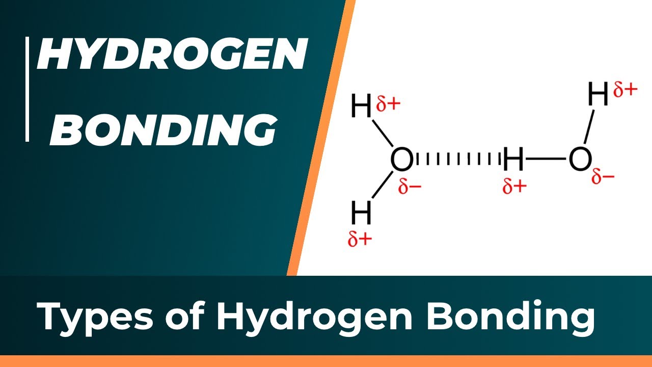 Hydrogen Bonding | Types of Hydrogen Bonding - YouTube