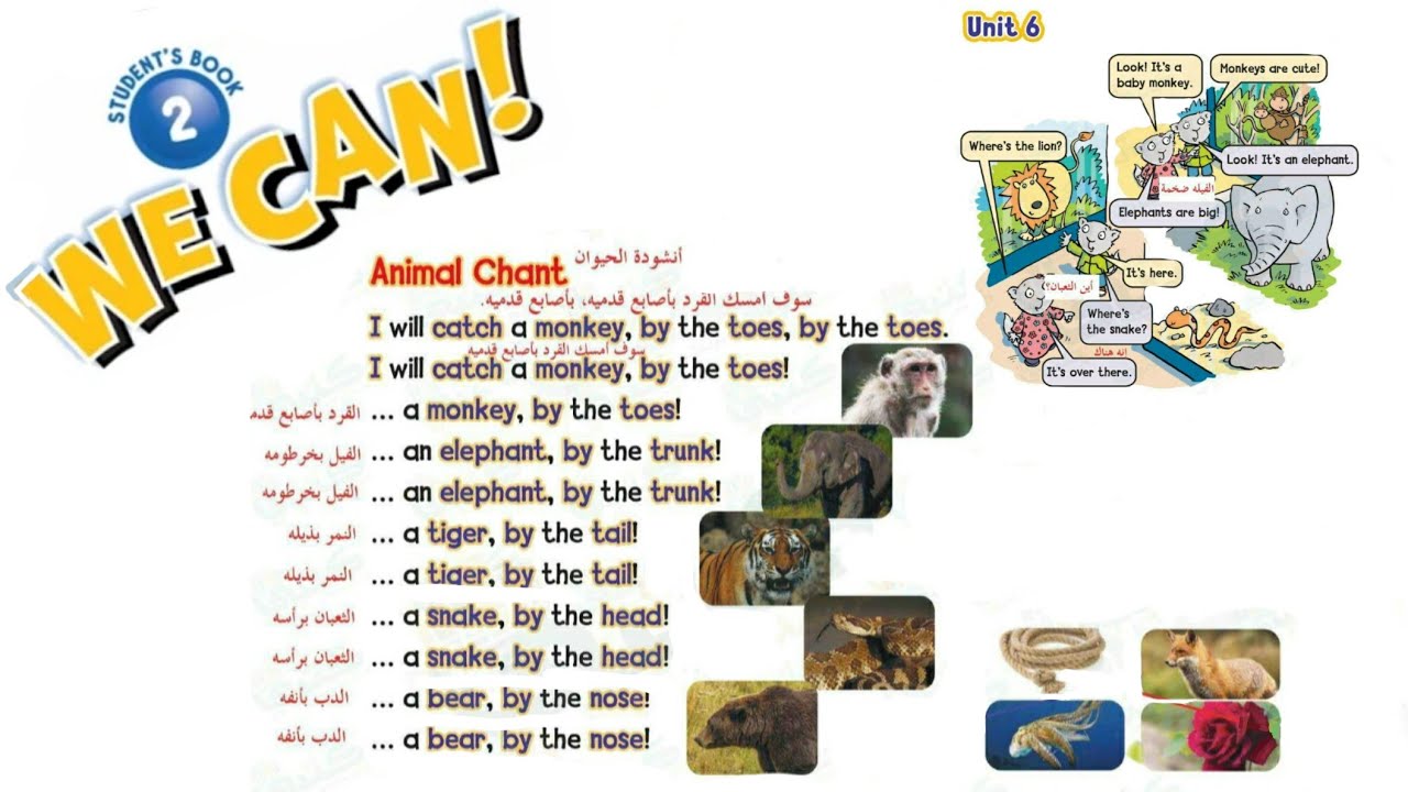 انجليزي unit 6 we can2 الوحدة 6 الدرس 1 wild Animals Rhythms and ...