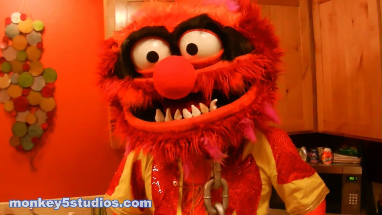 Animal - Muppets Cosplay Costume - YouTube