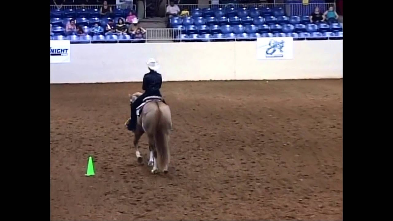 SR Am Western Horsemanship Stock Hunter Type Horse Final - YouTube