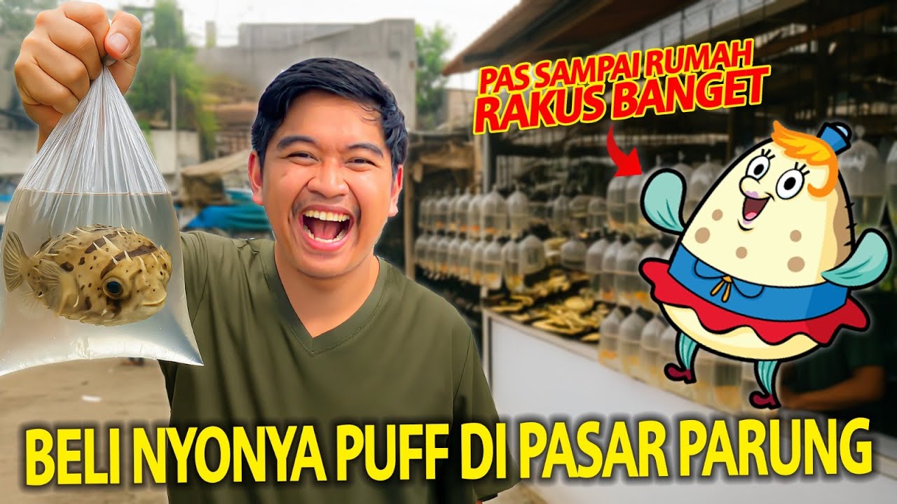 BELI NYONYA PUFF DI PASAR IKAN PARUNG! IKAN BUNTAL BERDURI TERNYATA ADA ...