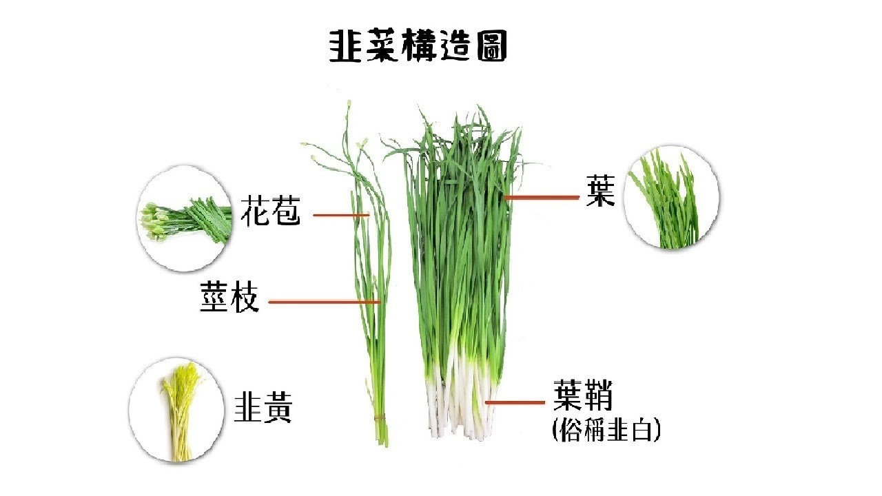 20251017 解大盤、恐慌指數、有人敲碗：【世紀(至上)、91APP、威剛】。 - YouTube
