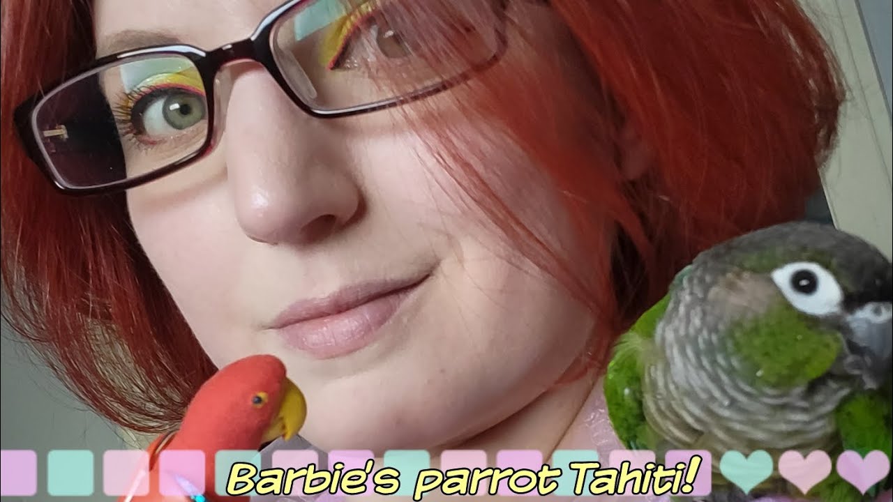 Amanda and Charlie Review: Barbie's Parrot Tahiti from 1985! - YouTube