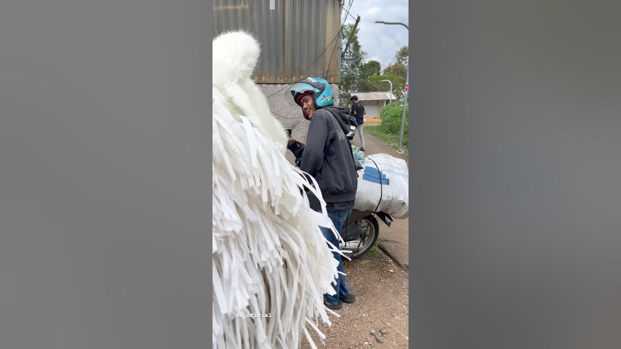 Mang paket ketakutan di samperin can macanan ‼️ - YouTube