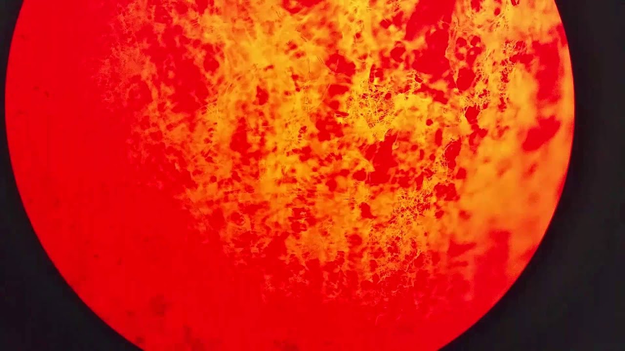 Olympus Provis AX70 Upright Micro Macro Motorized Fluorescent ...