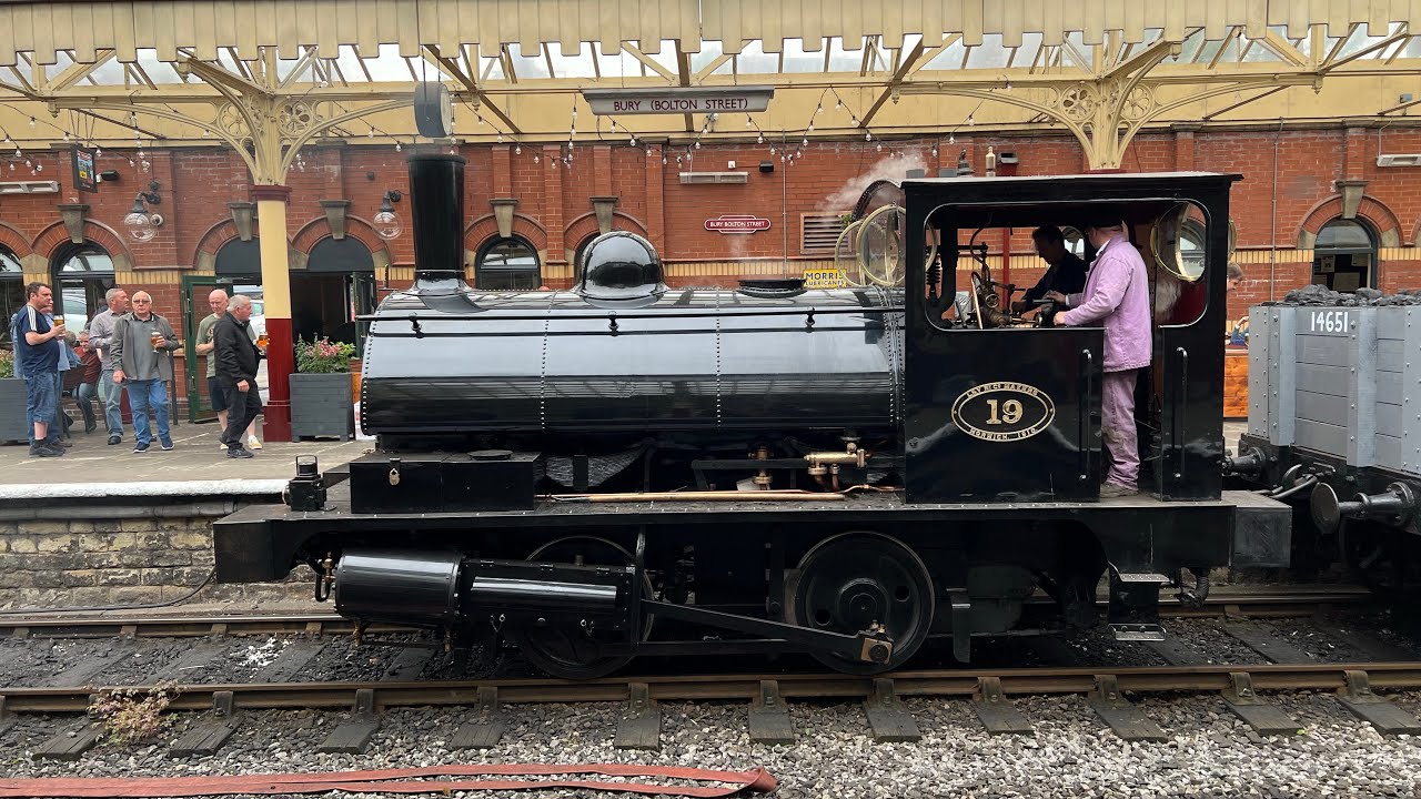 The LYR Pugs: Small, But Perfectly Formed - YouTube