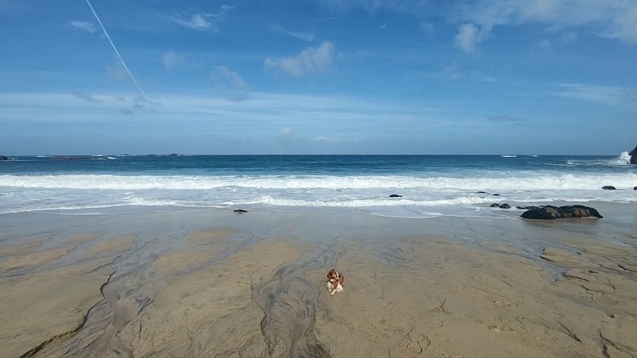 Just a man and his dog watching the waves roll in on Portheras Cove ...