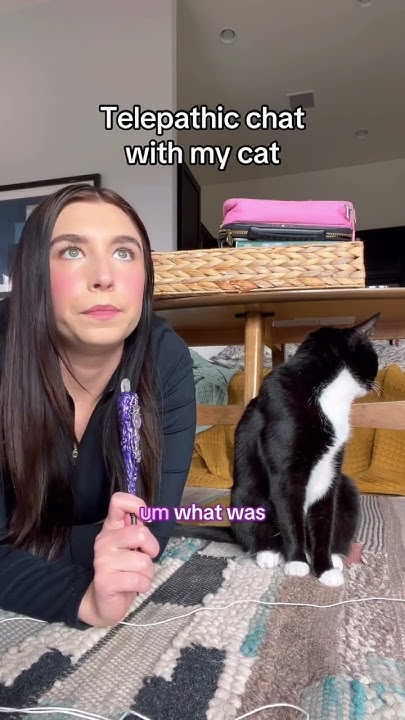 Do you have any pets? 🐾 - YouTube