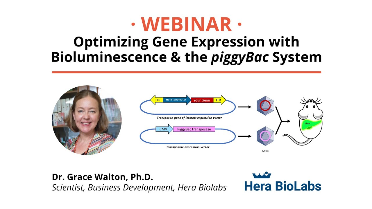 Webinar - Optimizing Gene Expression with Bioluminescence & the piggyBac System - YouTube