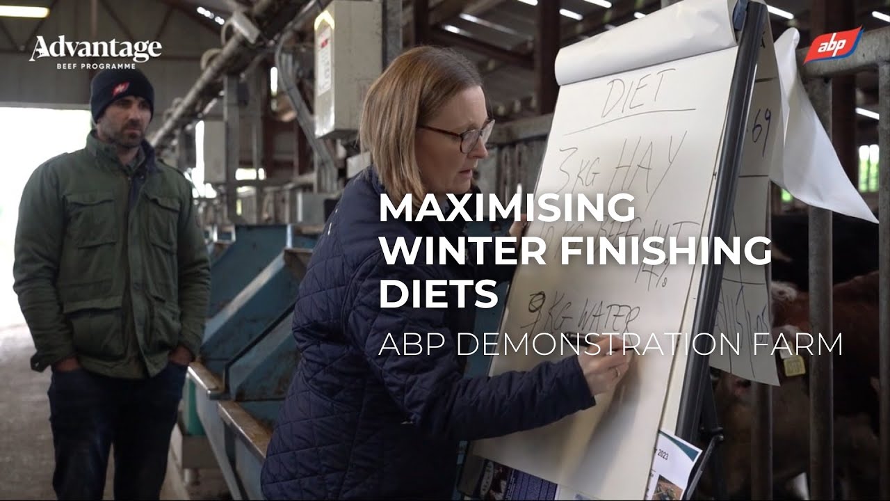 Maximising winter finishing diets | ABP Demonstration Farm - YouTube