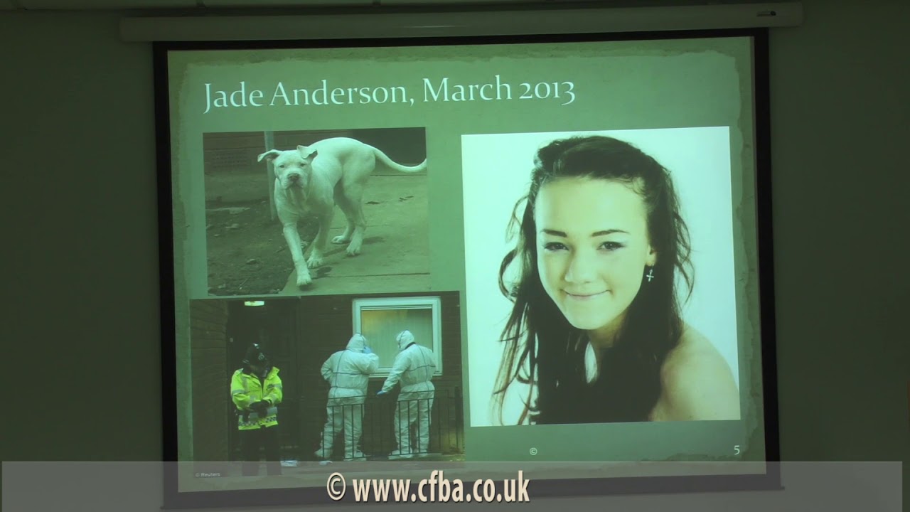 Dangerous Dogs Law Dr Simon Harding - YouTube