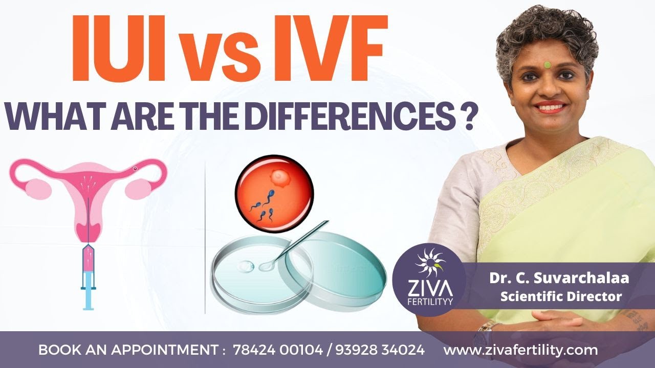 Iui Vs Ivf What Are The Differences Best Fertility Treatment