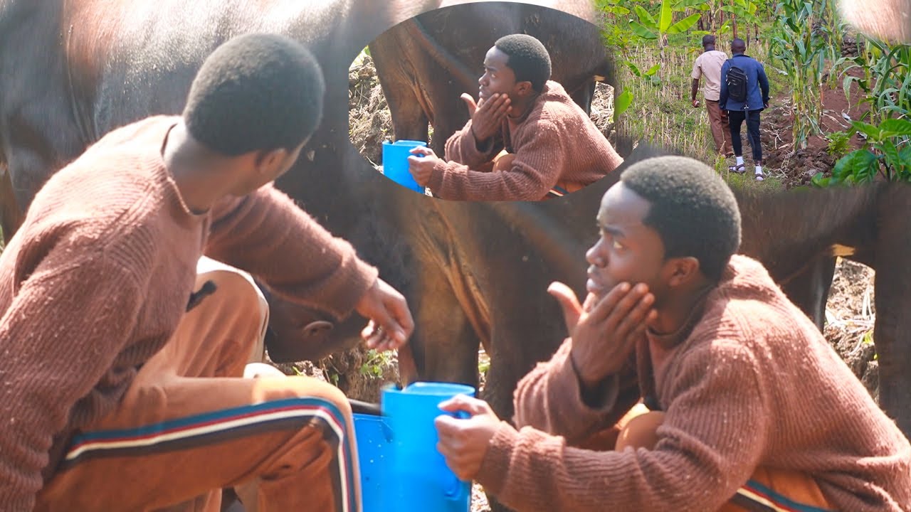 Yesu weee😨 Ibimubayeho Wa muhanuzi EMMY Yihaye ibyo gukama INKA None ...