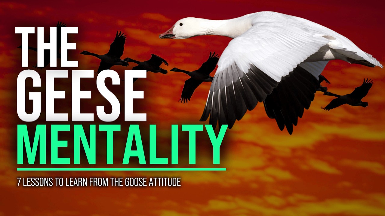 ThE GEESE MENTALITY - Best Motivational Video & Speech (Geese MINDSET ...