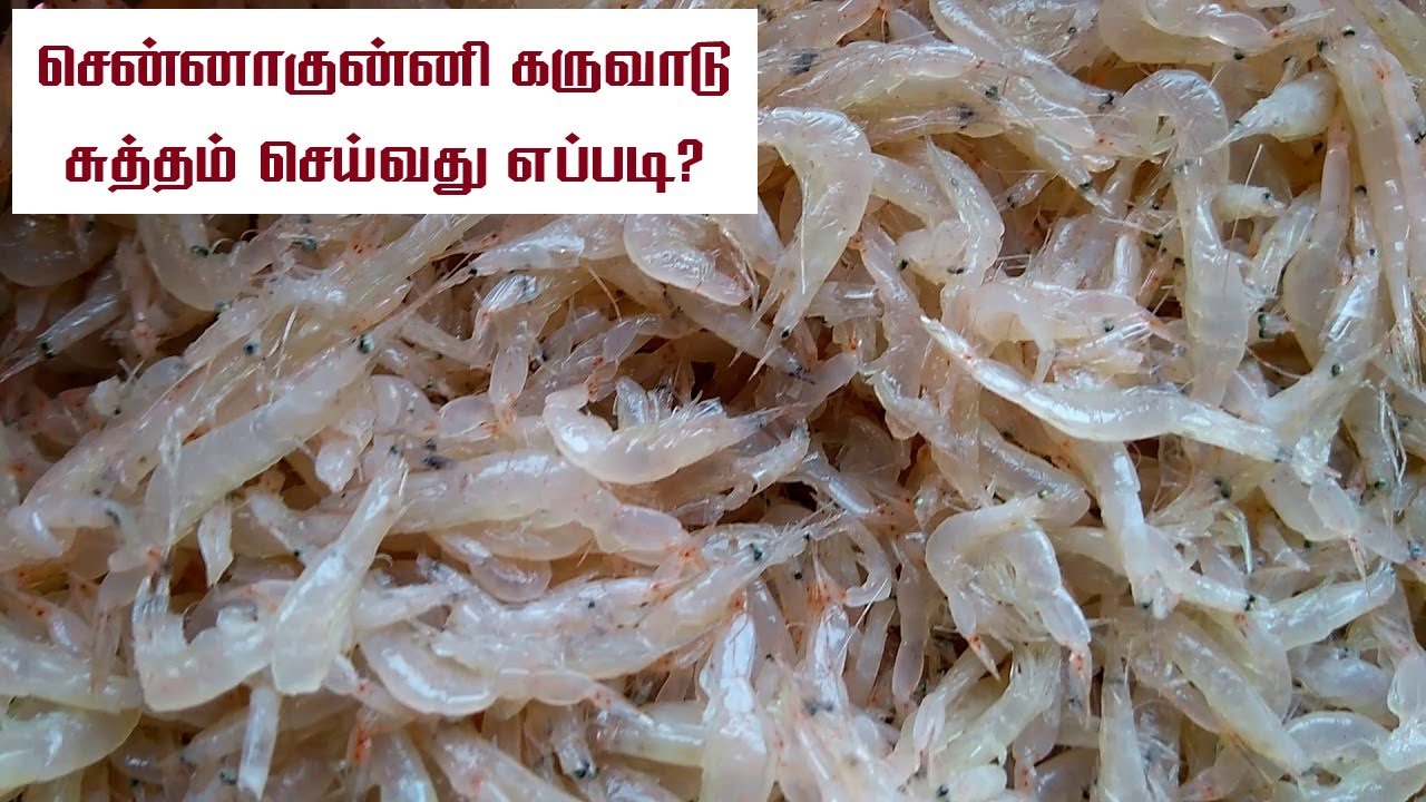 சென்னாகுன்னி கருவாடு சுத்தம் செய்வது எப்படி? | HOW TO CLEAN BABY SHRIMP ...