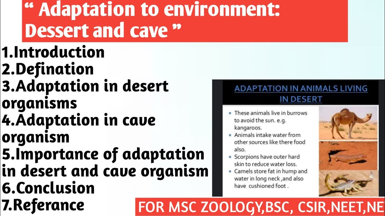 Adaptation to different environment: Dessert and cave | Desert organism ...