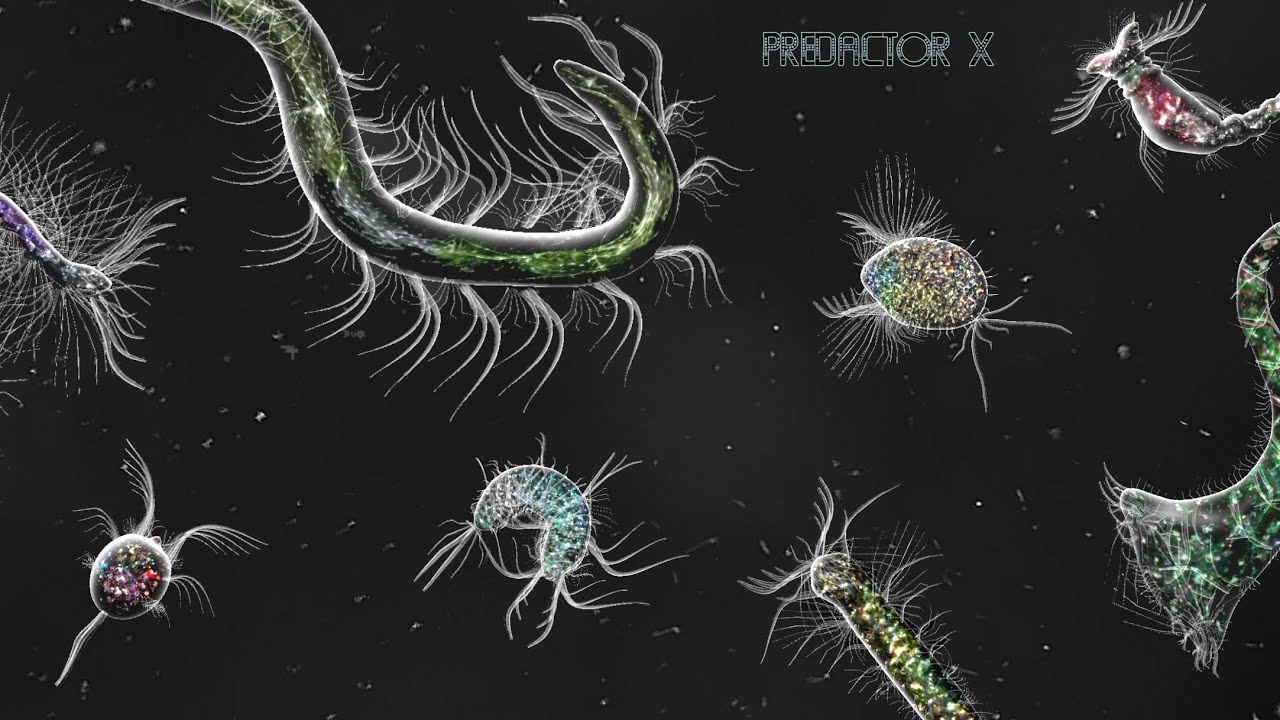 Organismos Modificados (Bionix: Spore Evolution Sim 3D) - YouTube