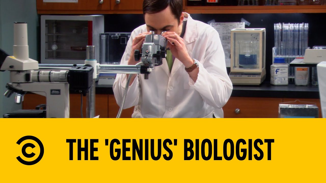 The 'Genius' Biologist | The Big Bang Theory | Comedy Central Africa ...