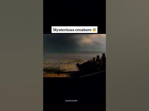 SCARY THINGS FOUND IN THE OCEAN#shorts - YouTube