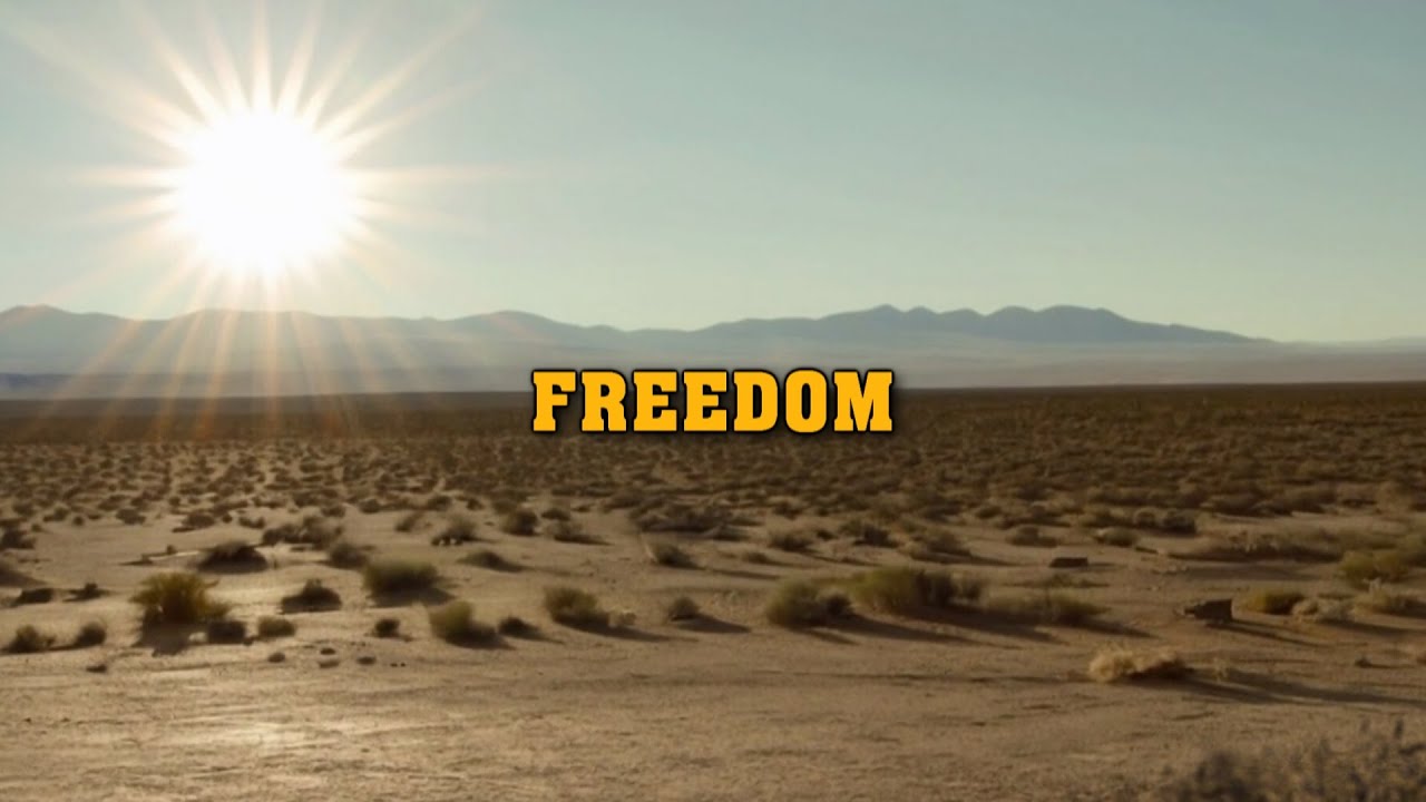 FREEDOM [2025] [FullHD] - short film - YouTube