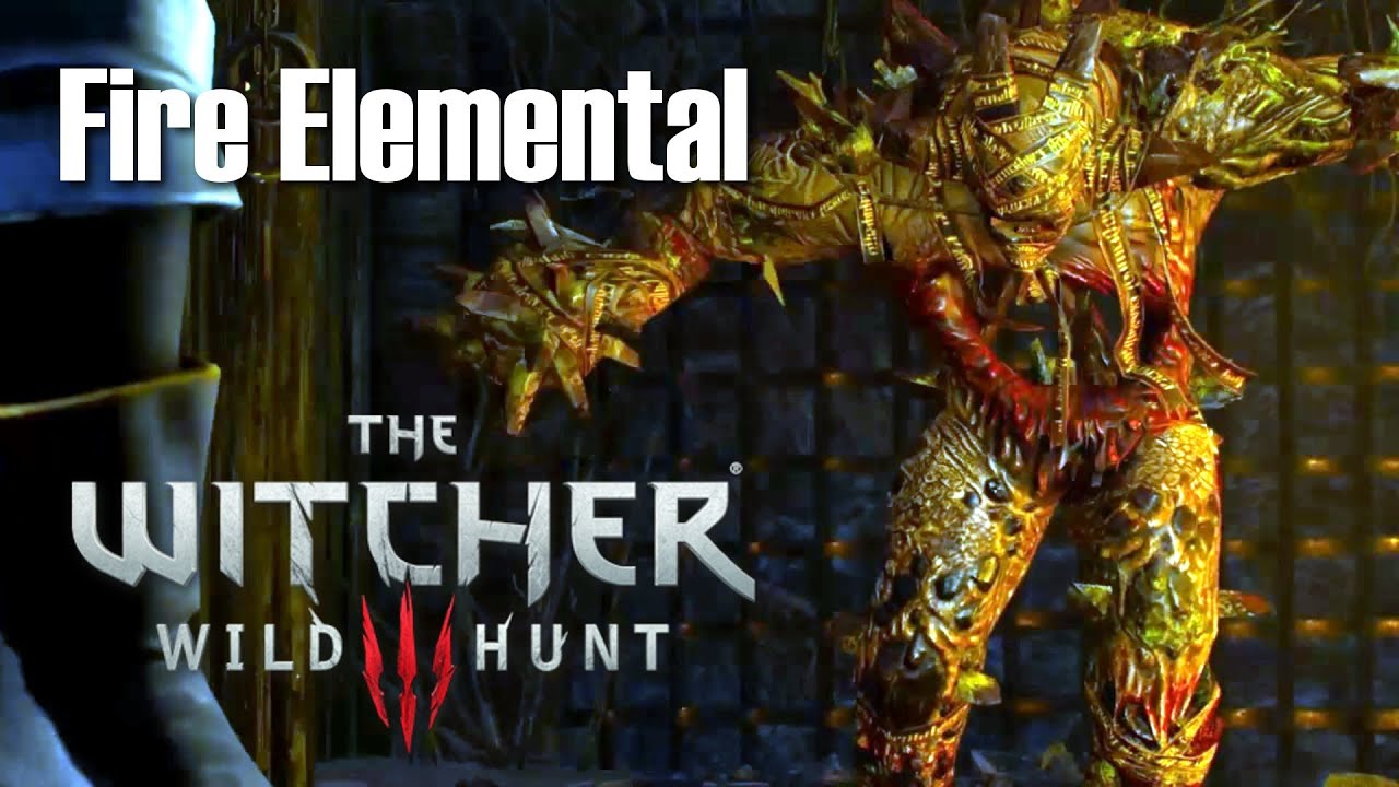 The Witcher 3 Fire Elemental Boss Fight Hard Mode - YouTube
