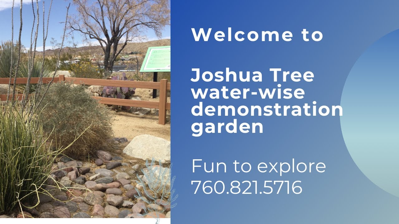 Joshua Tree Water Wise Demonstration Garden - YouTube